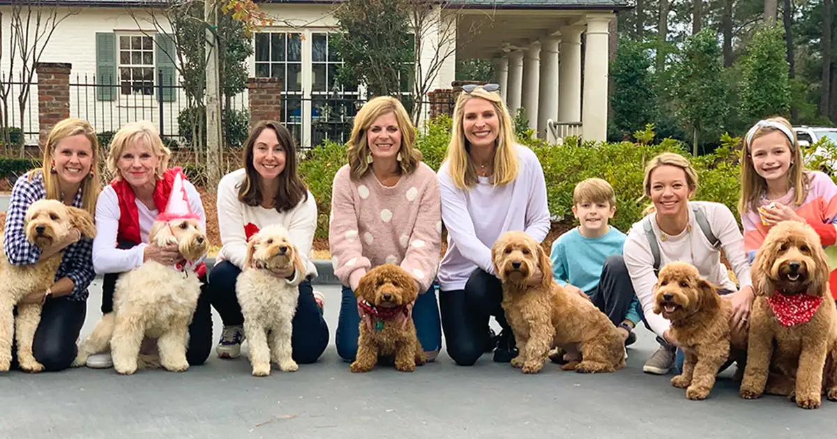 Volhard Puppy Aptitude Test | ABCs Puppy Zs